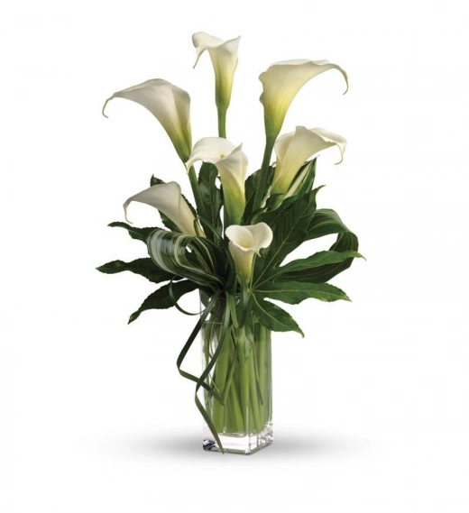 Buchet de 5 cale albe