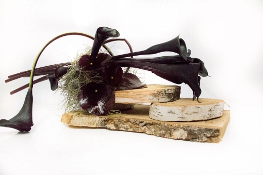 Cale negre in aranjament