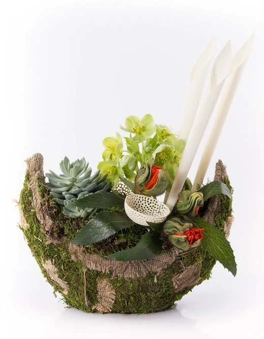 Comandă Online Buchet Primavara in padure – FlorideLux