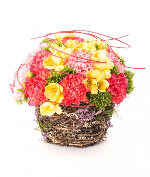 Comandă Online Buchet Cos cu garoafe si frezii parfumate – FlorideLux