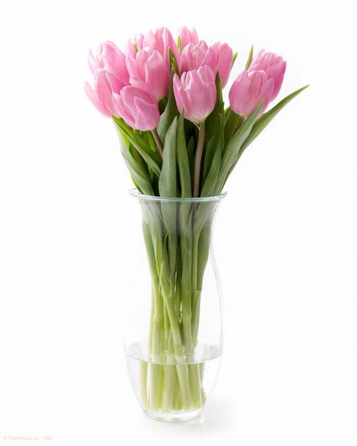 13 lalele roz in vaza