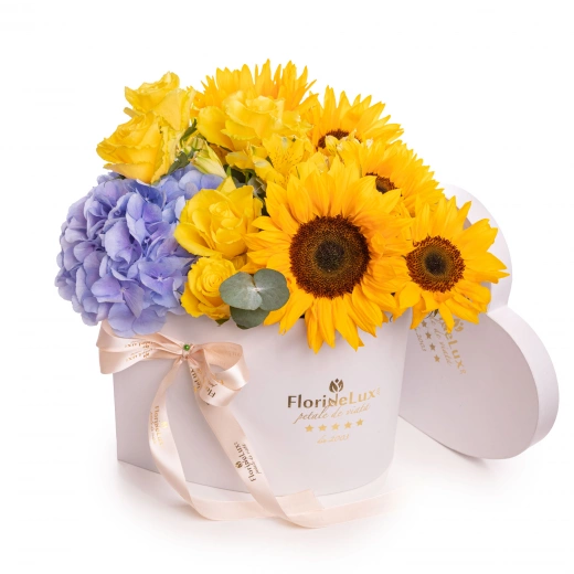 Inima cu raze de soare | Floridelux.ro