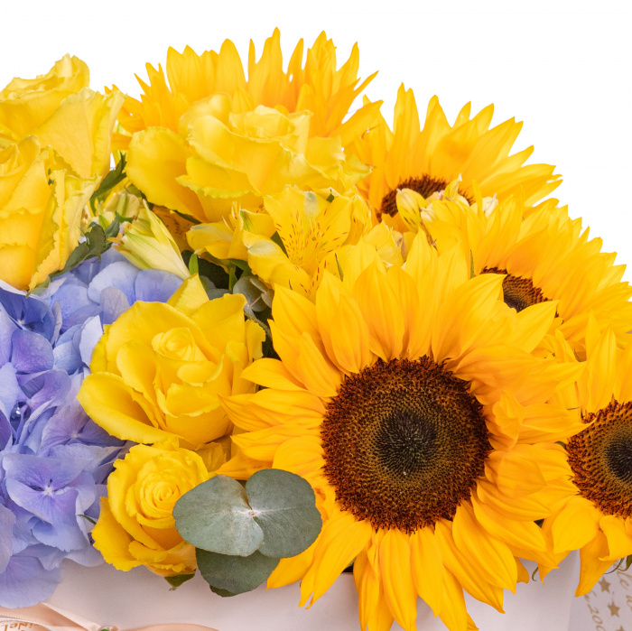 Inima cu raze de soare | Floridelux.ro