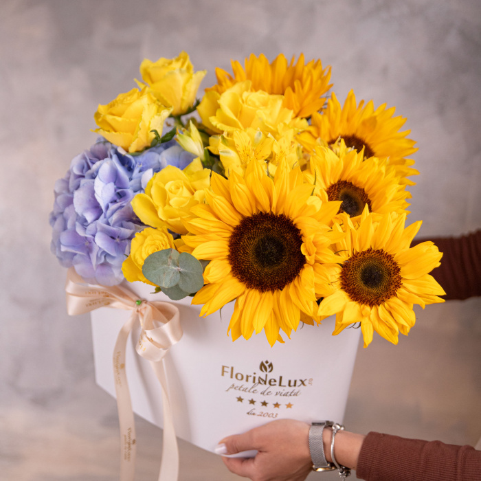 Inima cu raze de soare | Floridelux.ro