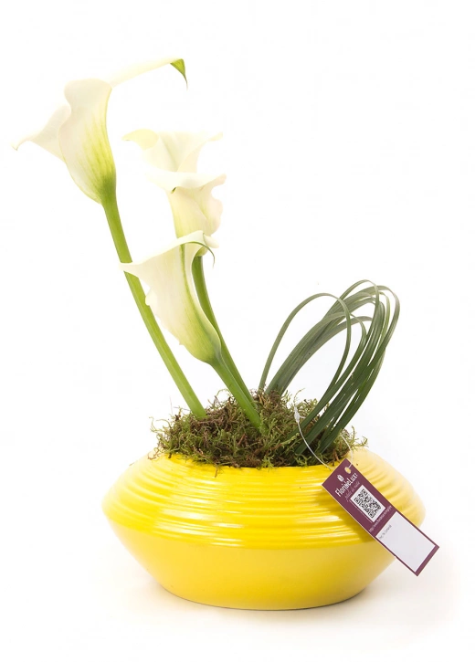 Comandă Online Buchet Aranjament corporate cale albe – FlorideLux